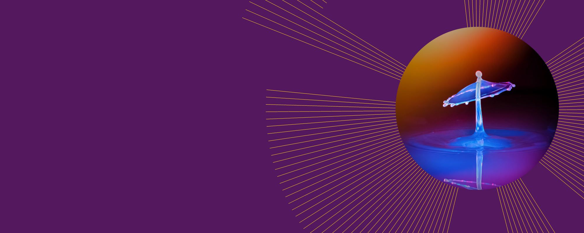 EcoNet | Software de gestión de requisitos legales | Normas ISO